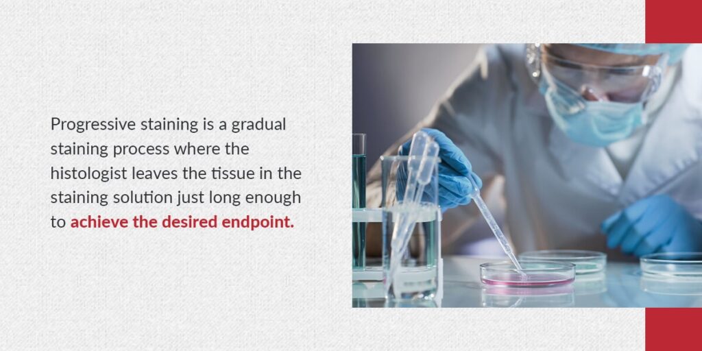 The Difference Between Progressive & Regressive H&E Staining