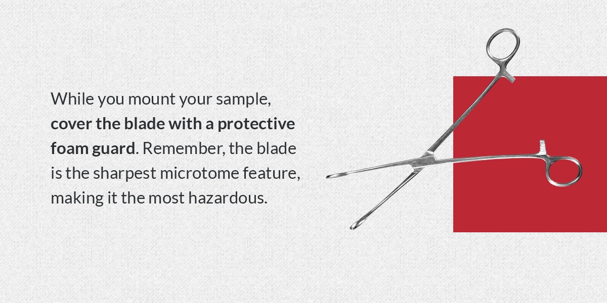 Preventing Cross-Contamination When Paraffin Embedding - Histology ...