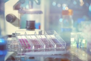 Progressive and Regressive H&E Staining - What Are the Differences?